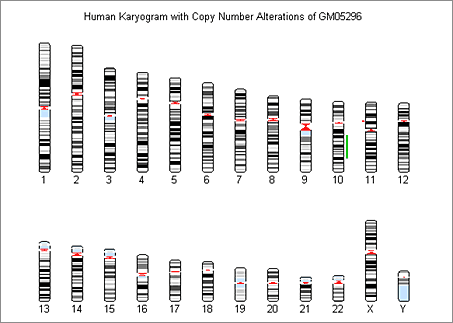 Analyzing Array-Based Comparative Genomic Hybridization Data - MATLAB & Simulink