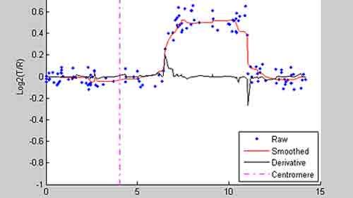 Analyzing Array-Based Comparative Genomic Hybridization Data - MATLAB & Simulink
